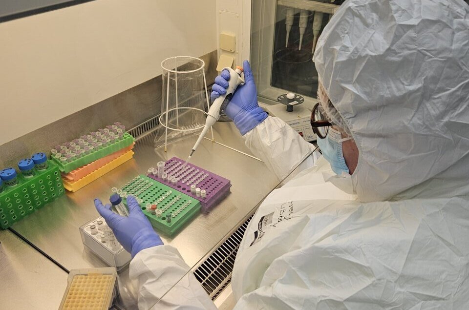 First ancient herpesvirus genomes document their deep history with humans