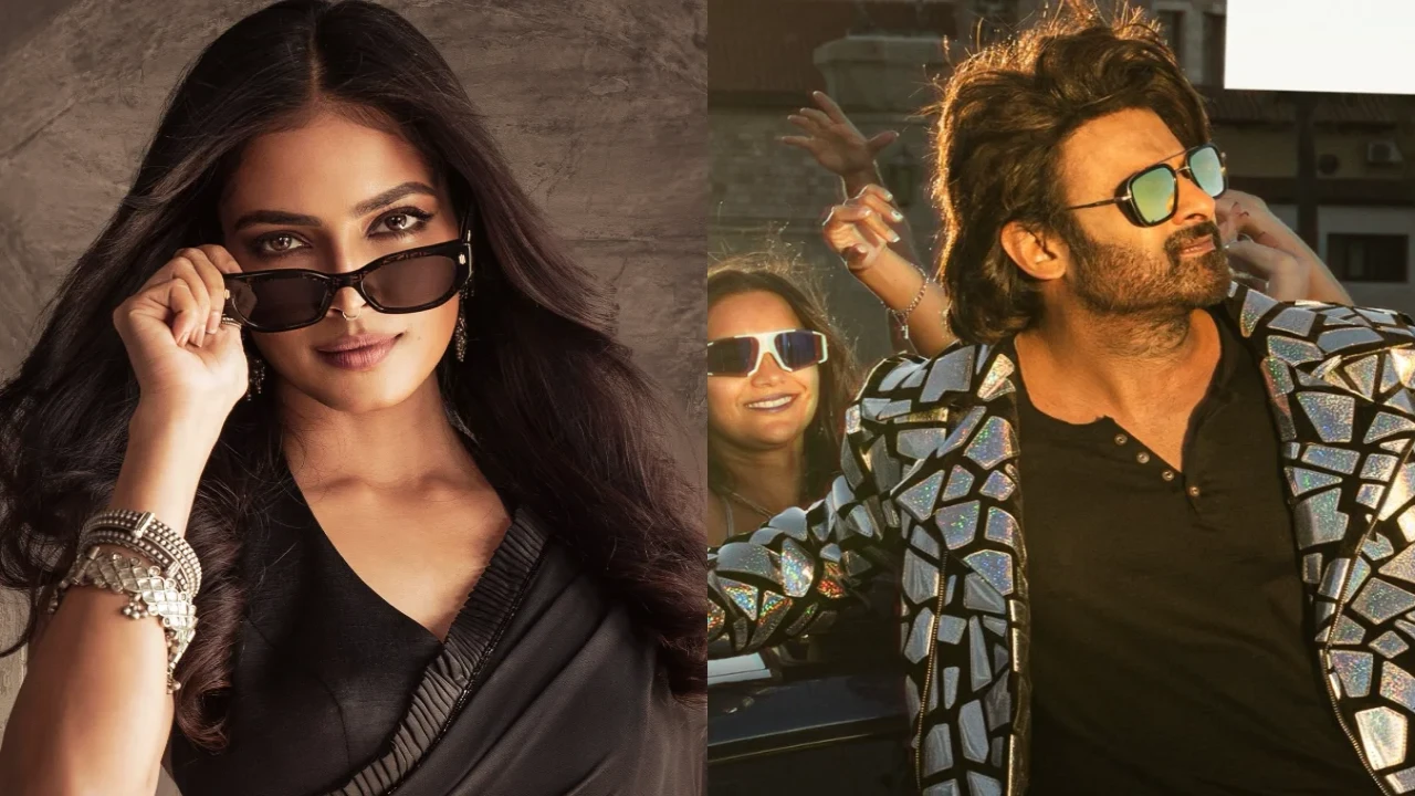 Malavika Mohanan calls it 'destiny' for missing out on Salaar and ...