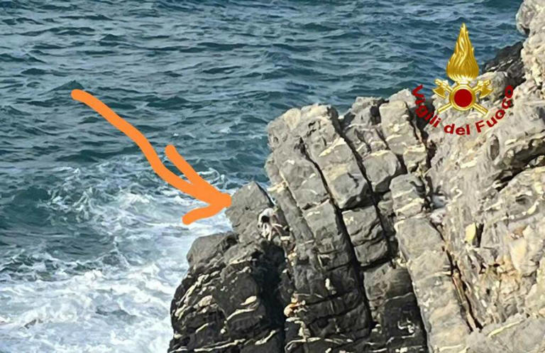 Pieve: salvato alano finito sulla scogliera dove si trovava dal 31 dicembre