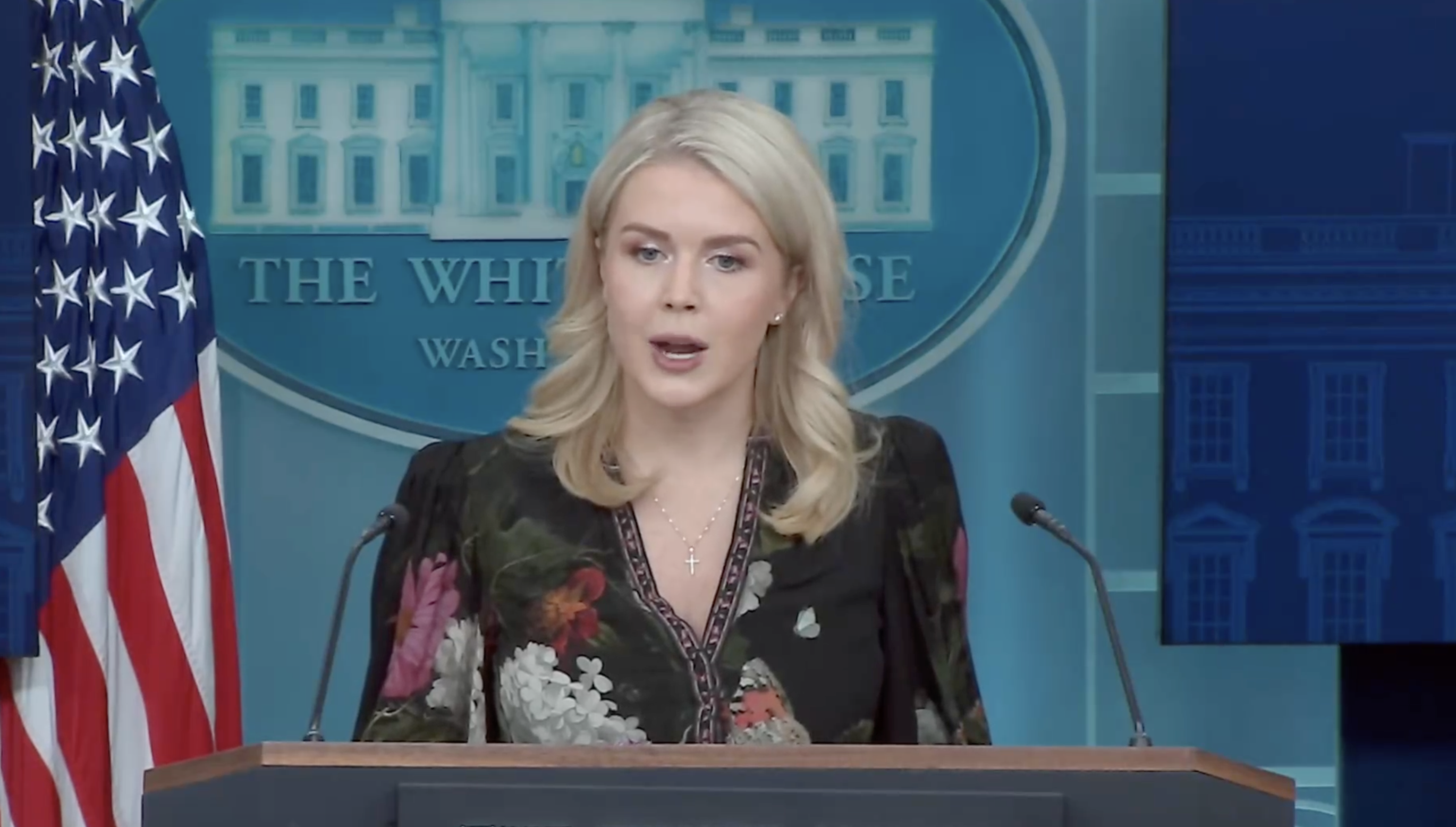 'Have a little bit of courage': Karoline Leavitt takes the low road ...