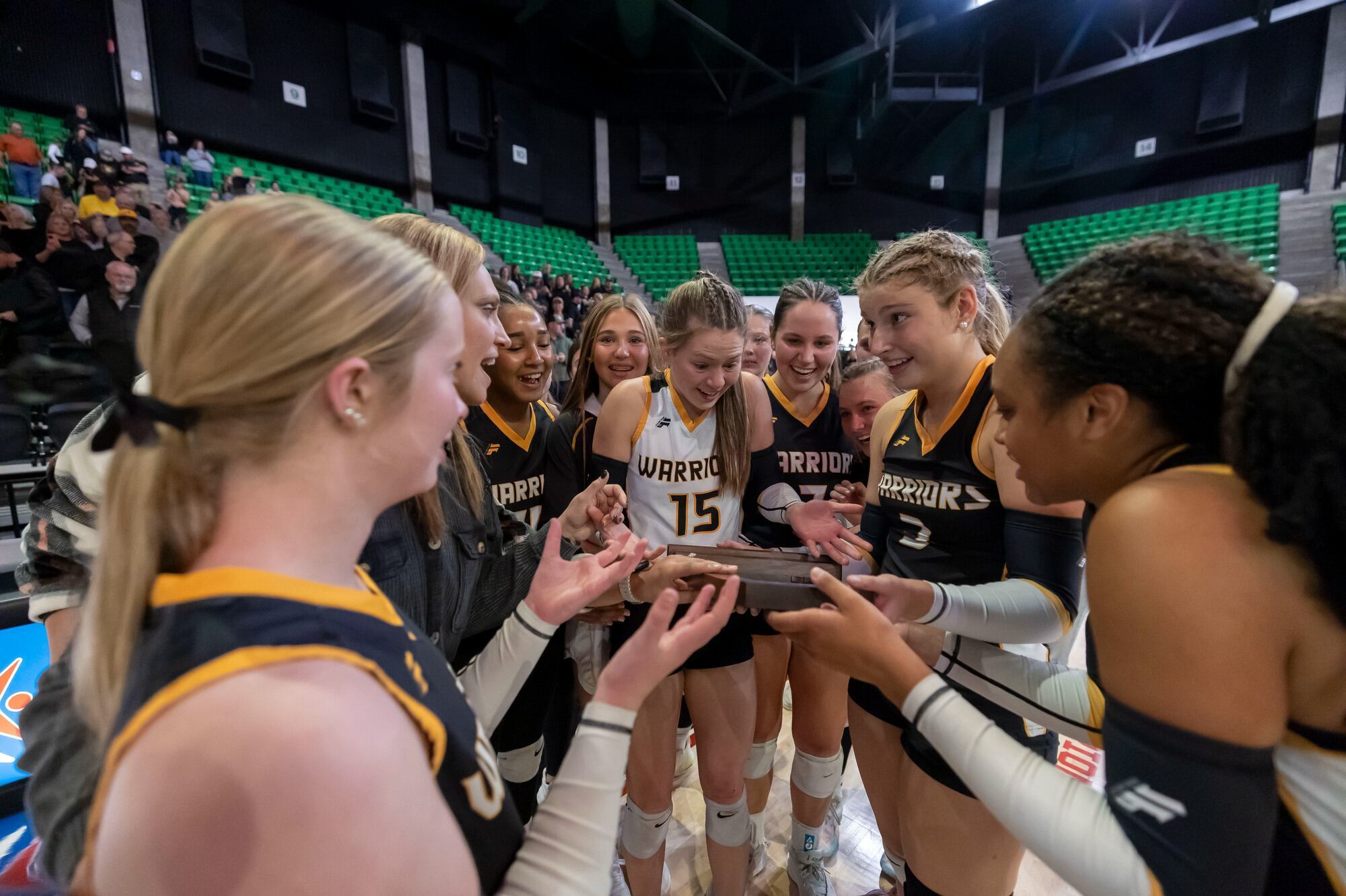 See the 2025 AL.com high school volleyball all-state team by classification