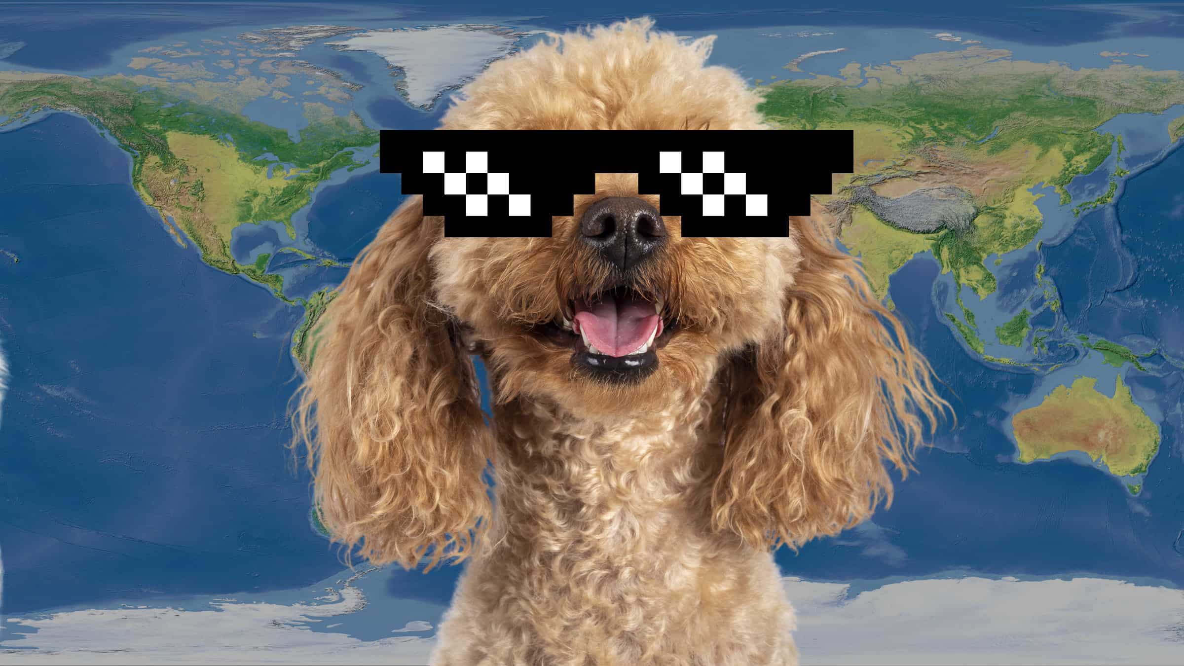 10 animals that are cooler than you think