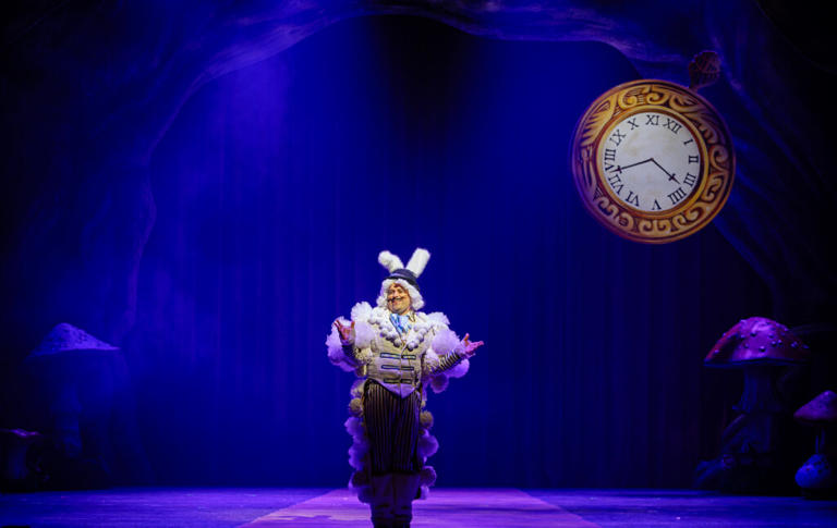 Welkom in Wonderland: "Voelt als een binnenspeeltuin"