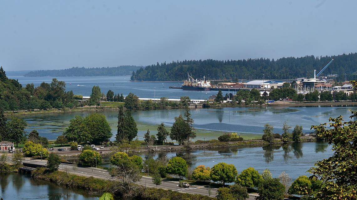 These changes would affect Thurston Co. watershed. Here's why some are ...