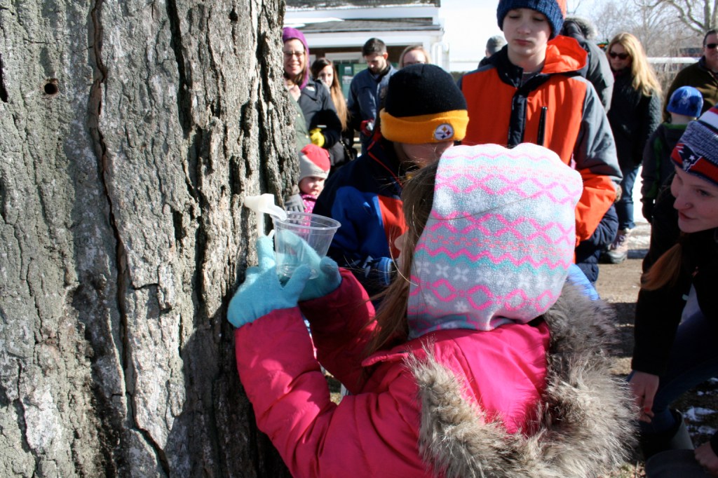 Massachusetts' sweetest winter treat is this homemade maple syrup tasting