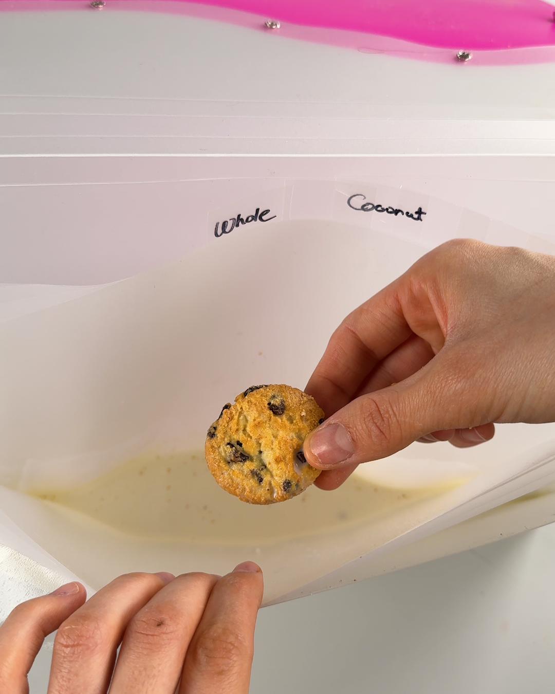 Milk organizer that changes the game 🥛