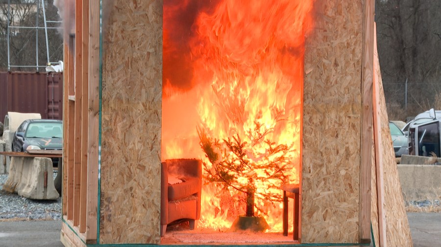 Montgomery County firefighters: Your Christmas tree is a fire hazard