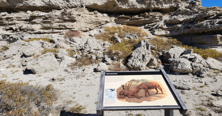 Take a scenic boardwalk walk through Nebraska's Agate Fossil Beds ...