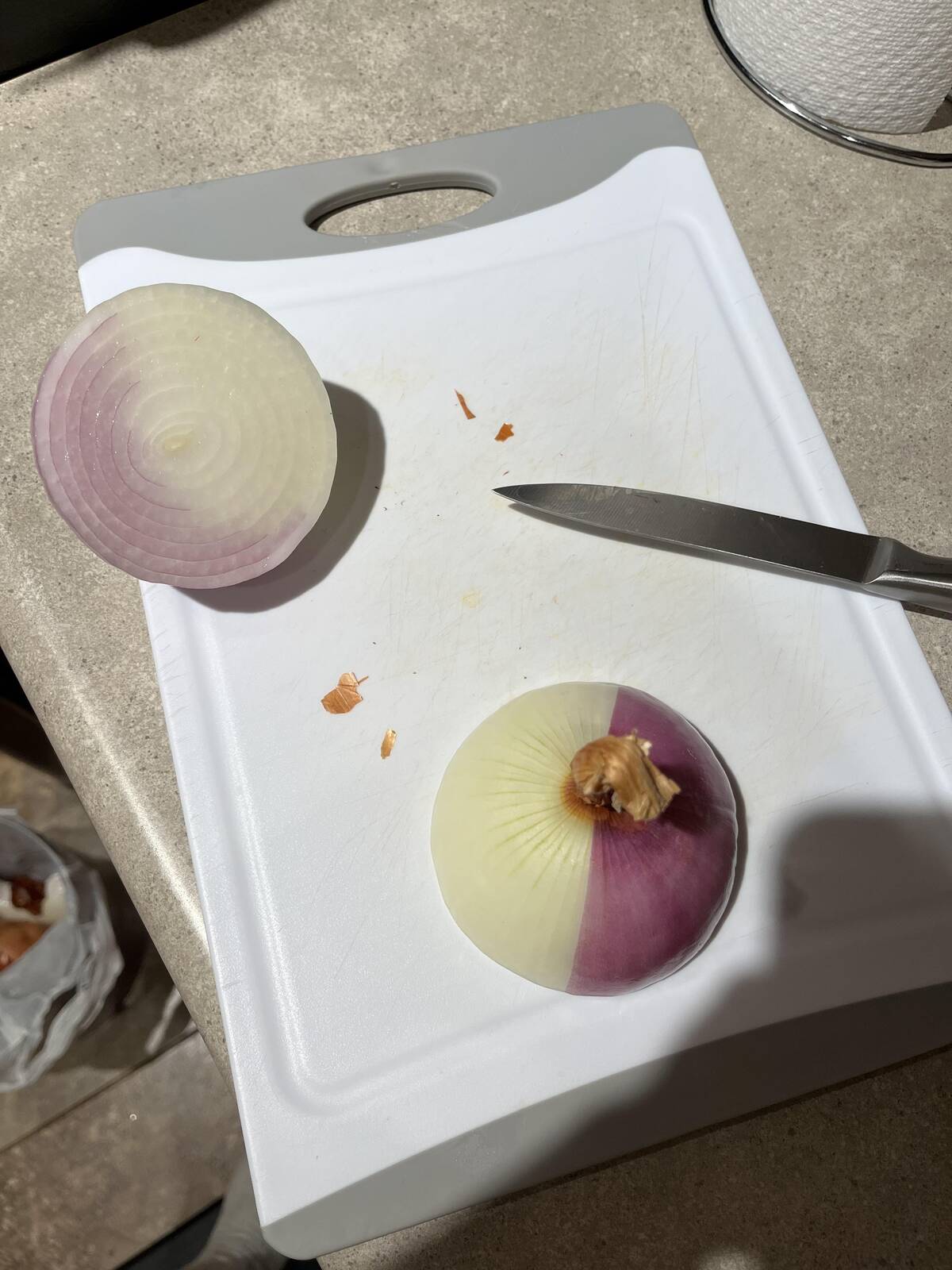 Delightful surprises: A gallery of ordinary oddities