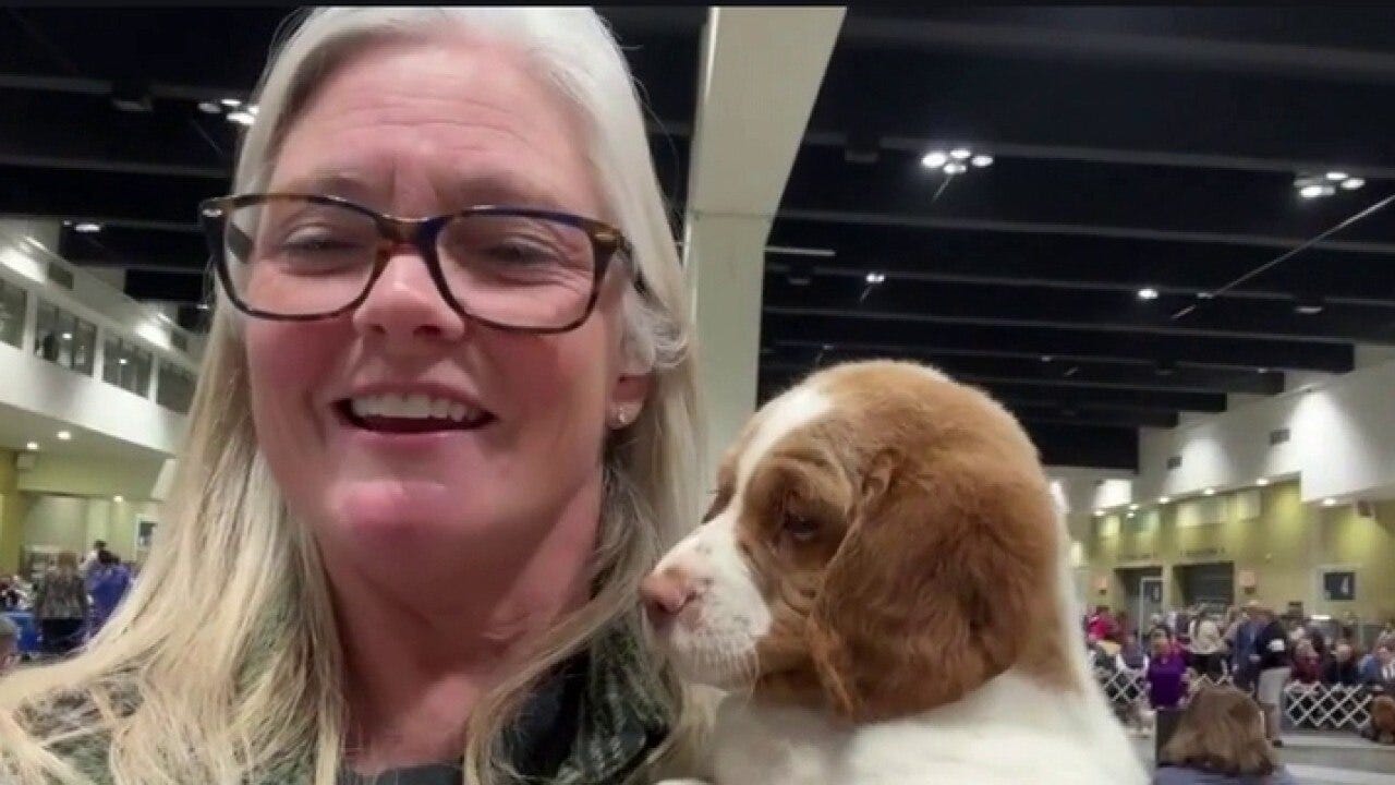 Inside the ring: The 2026 Land O’Lakes Kennel Club Dog Show