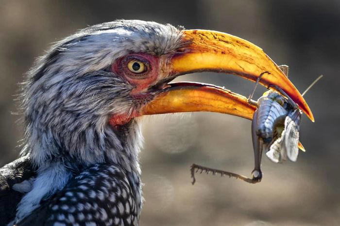 Top 29 most stunning photos from the National Geographic Instagram ...