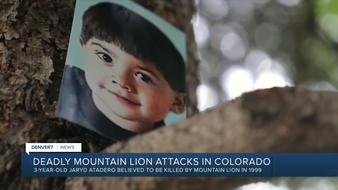 The last fatal mountain attack in Colorado likely happened in 1999