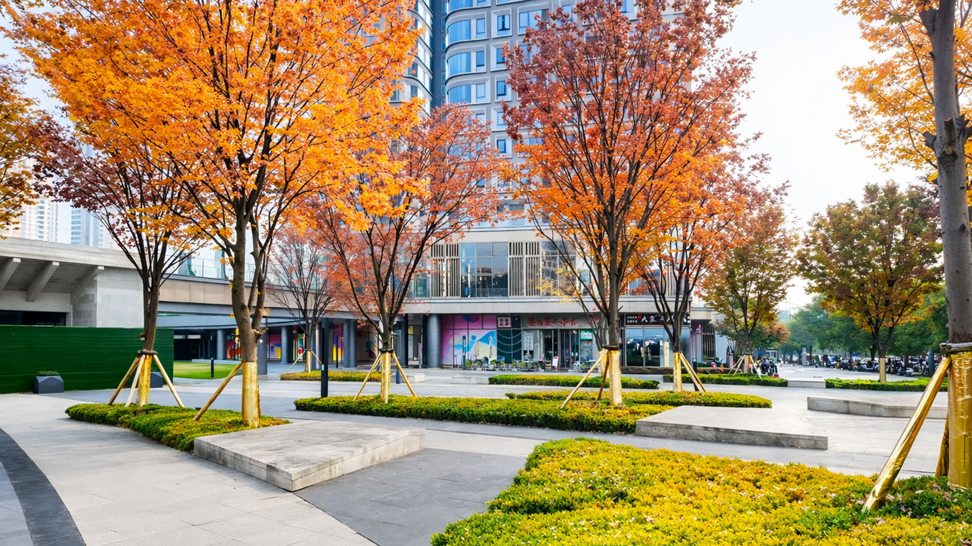 Chengdu glows in stunning autumn colors