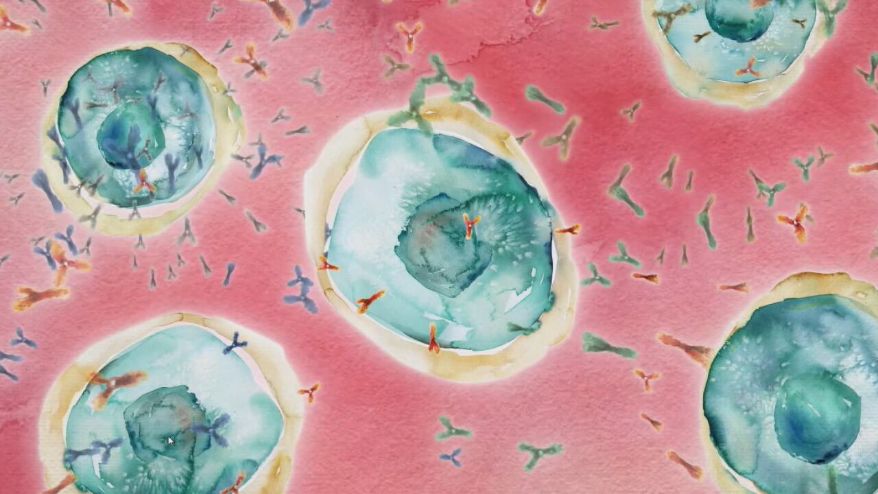 Minnehaha County residents become first influenza deaths of season