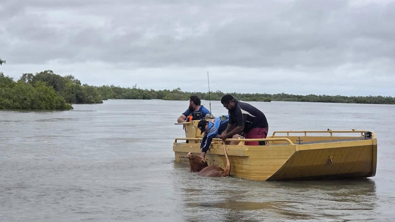 Cyclone watch after year’s rain in one week