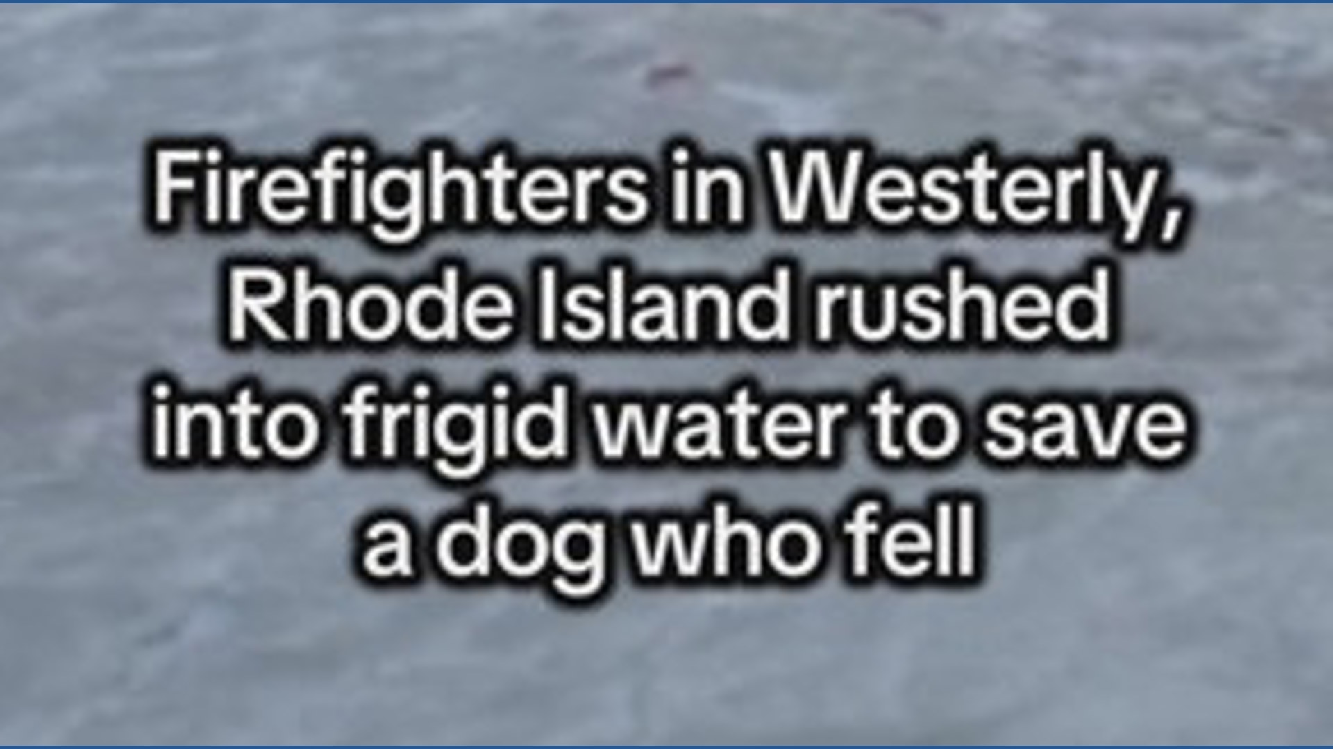 Dog rescued from frozen pond in Rhode Island