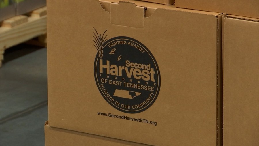 Second Harvest to introduce next CEO, share details on 'Harvesting Hope ...