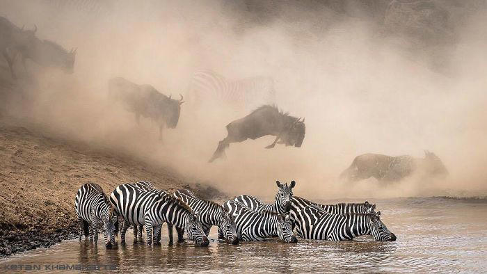 Top 29 most stunning photos from the National Geographic Instagram ...
