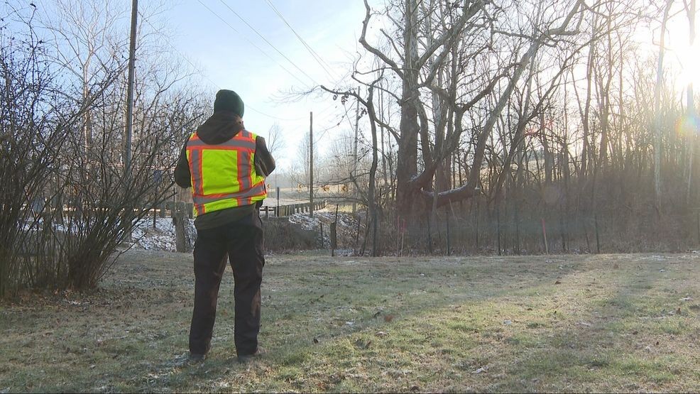 Nearly 200-year-old Tri-State tree could be threatened by nearby ...