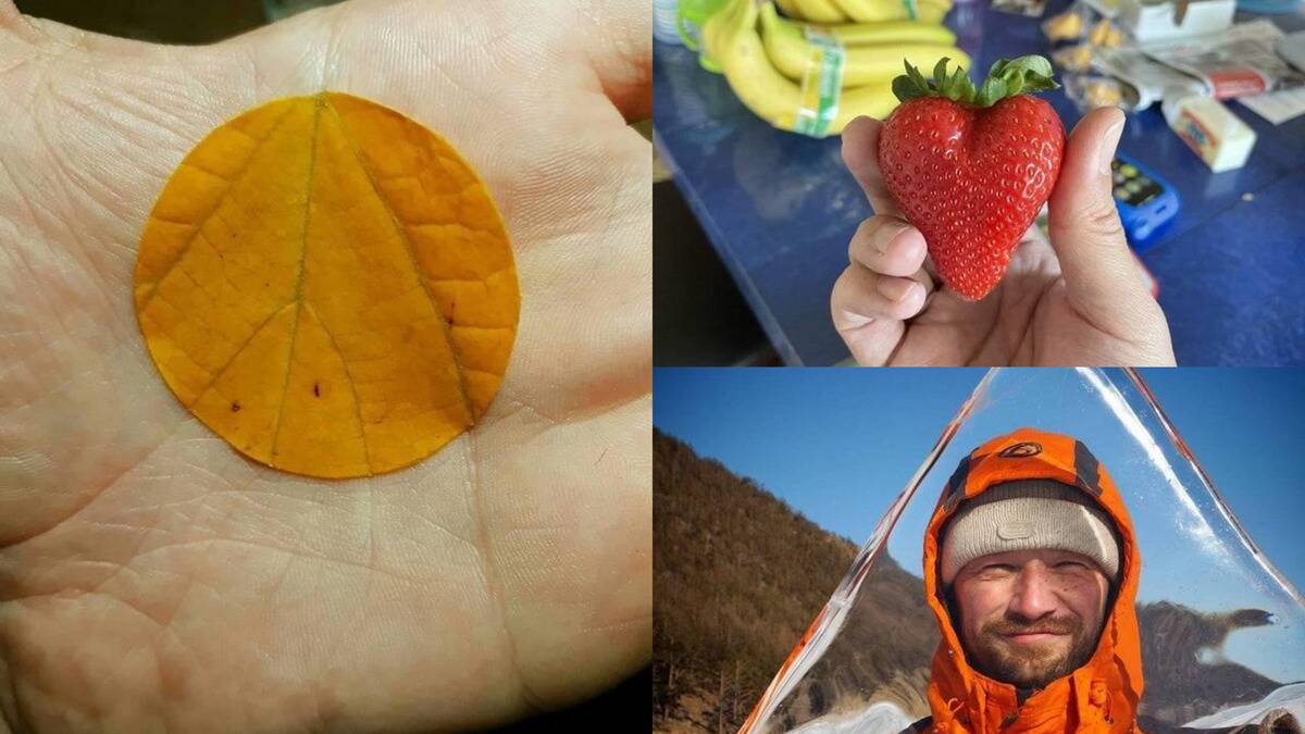 Satisfying pictures so we can pretend life is good for a minute