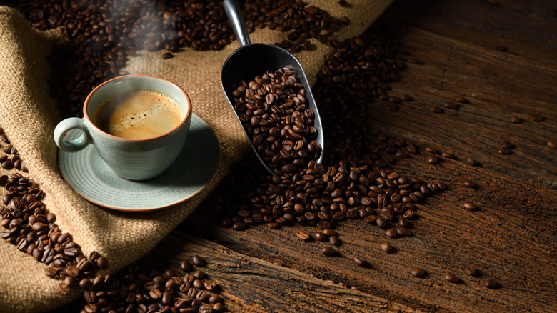 The 4 most common types of coffee beans and how they differ