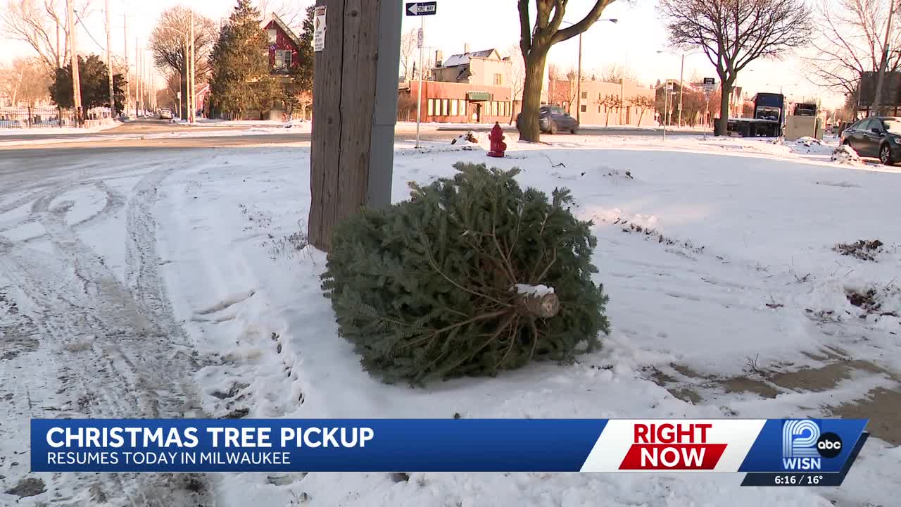 Milwaukee residents begin taking down Christmas decorations as tree ...