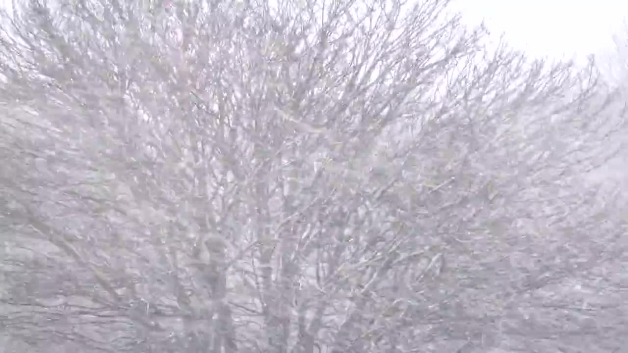 Heavy snowfall blankets coastal Aberdeen amid winter warning in ...