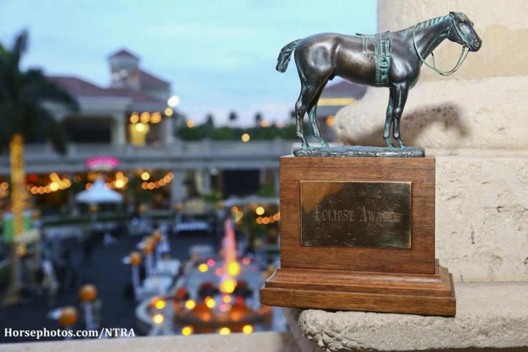 Making claims: Answering burning questions on the 2025 Eclipse Awards ...