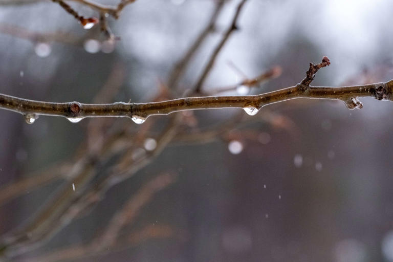 Mass. weather: Snow showers to overtake dry weekend, freezing rain ahead