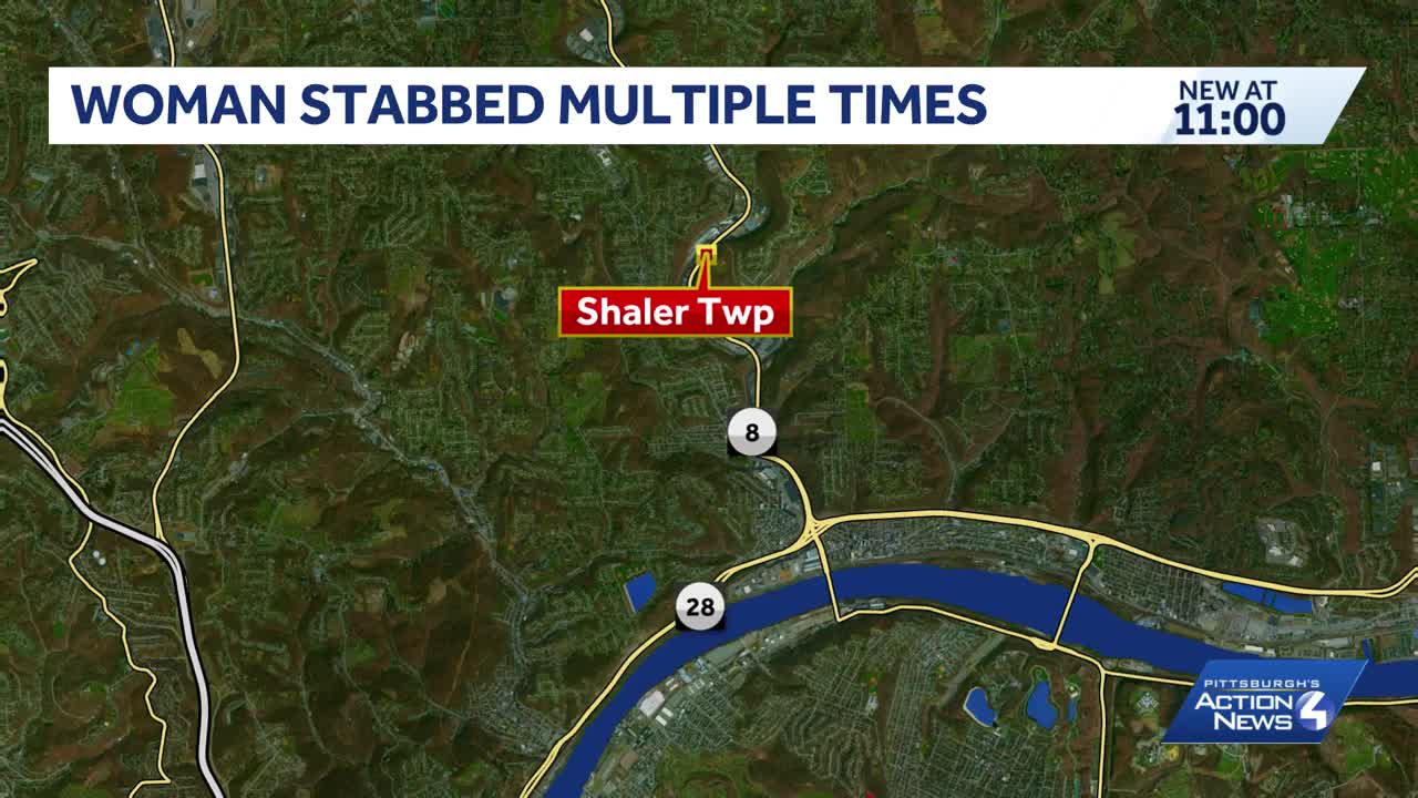 Police: 1 injured, 1 in custody after altercation led to stabbing in ...
