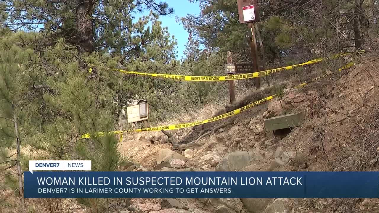 Suspected mountain lion attack: The latest on a woman's death on ...