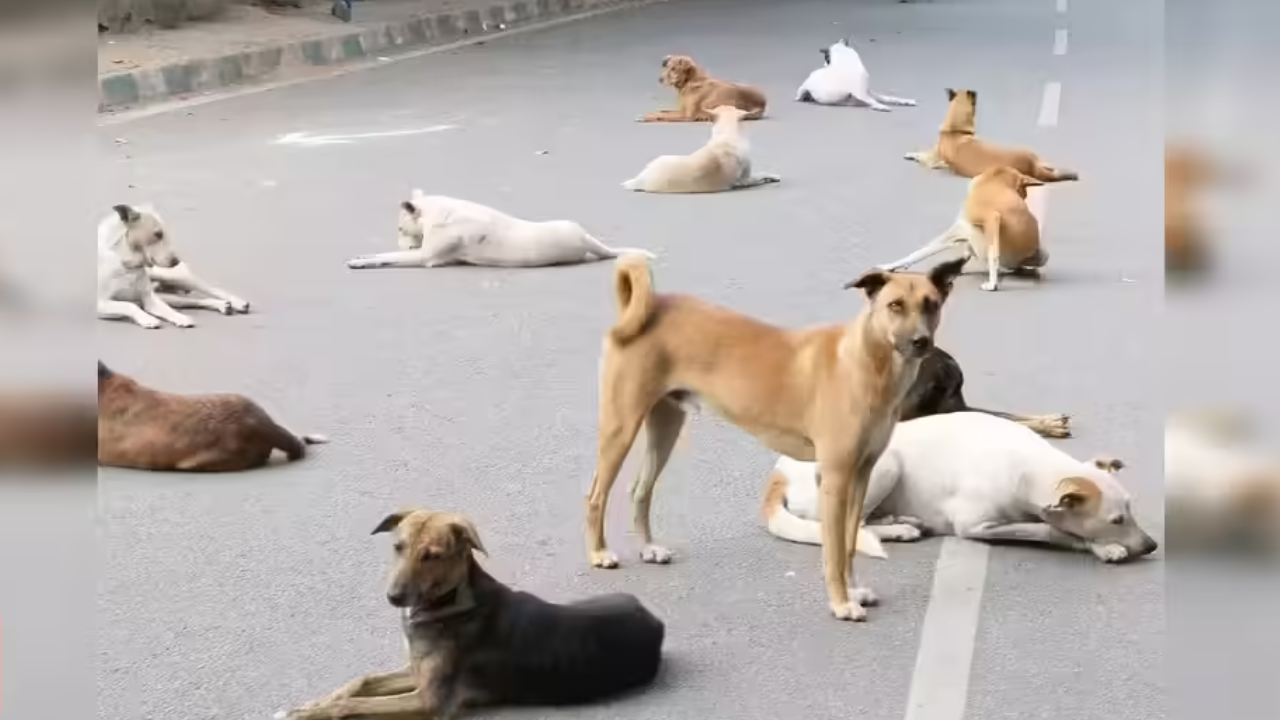 Delhi: Govt school teacher suspended for ‘spreading false infomation ...