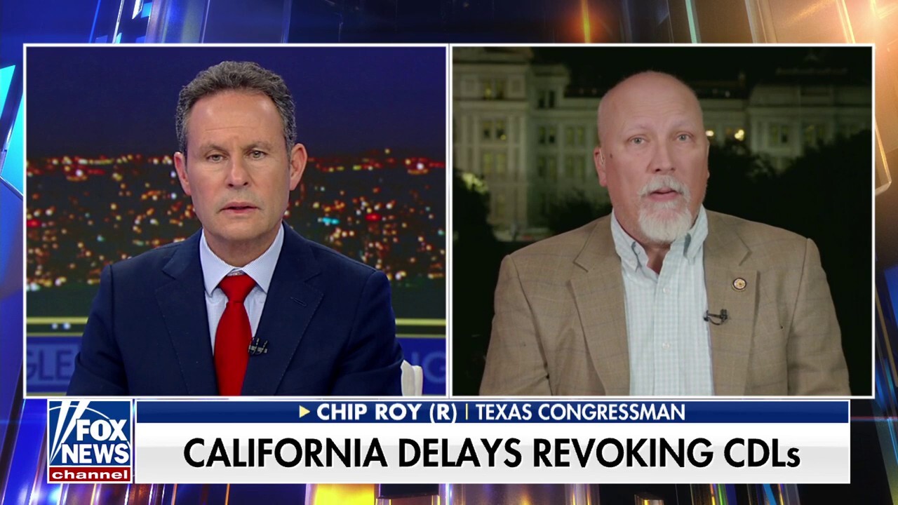 ICE is a 'key investigative agency,' Rep. Chip Roy says