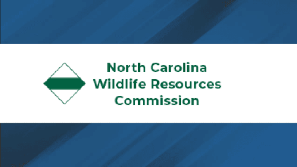 NC wildlife officials urge sober boating, driving ahead of Memorial Day ...