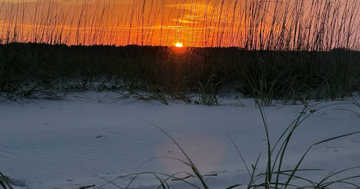 6 bucket-list-level views in South Carolina without needing to be an ...