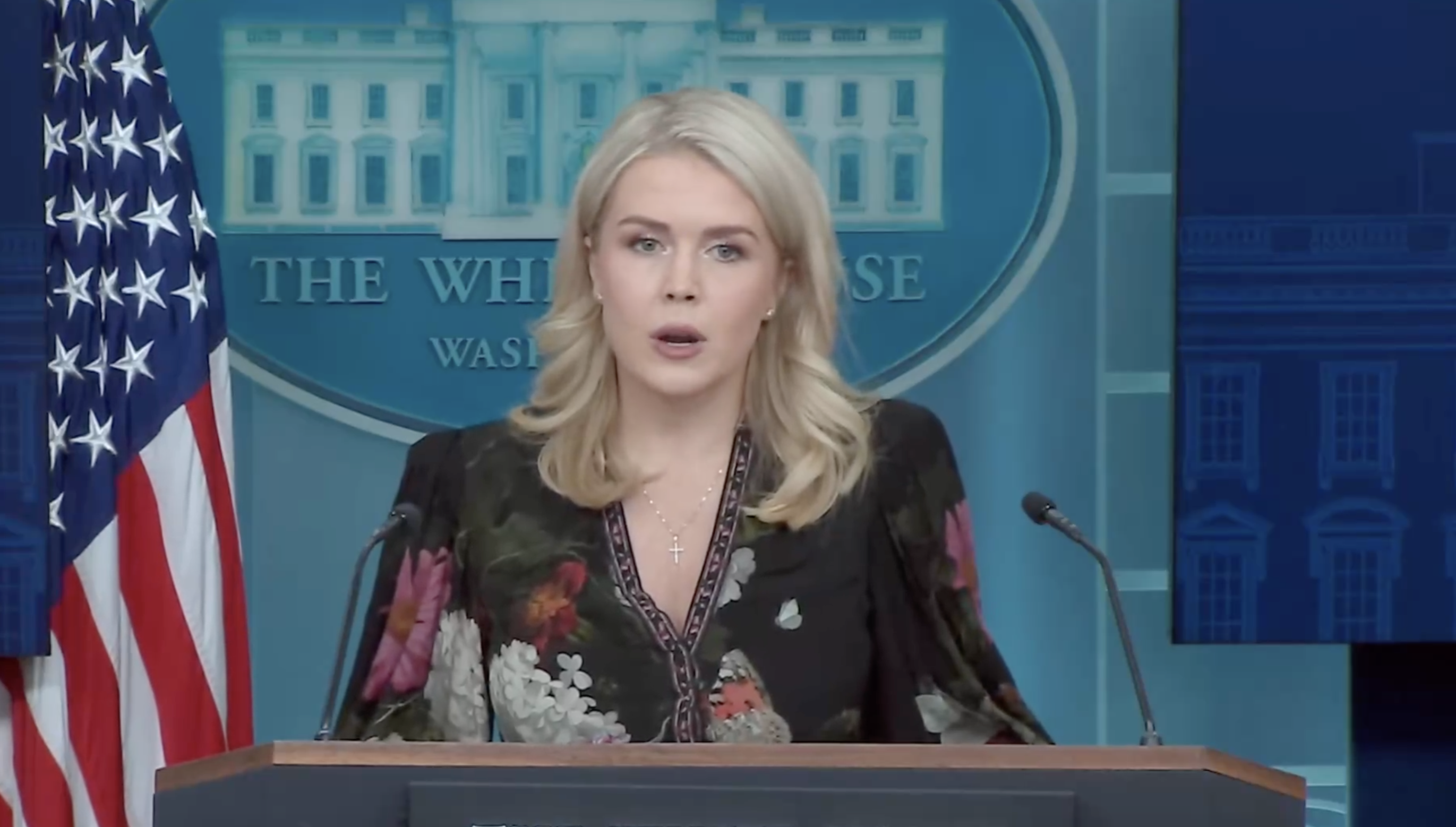 'Call the Democrats': Karoline Leavitt sidesteps accountability for ...