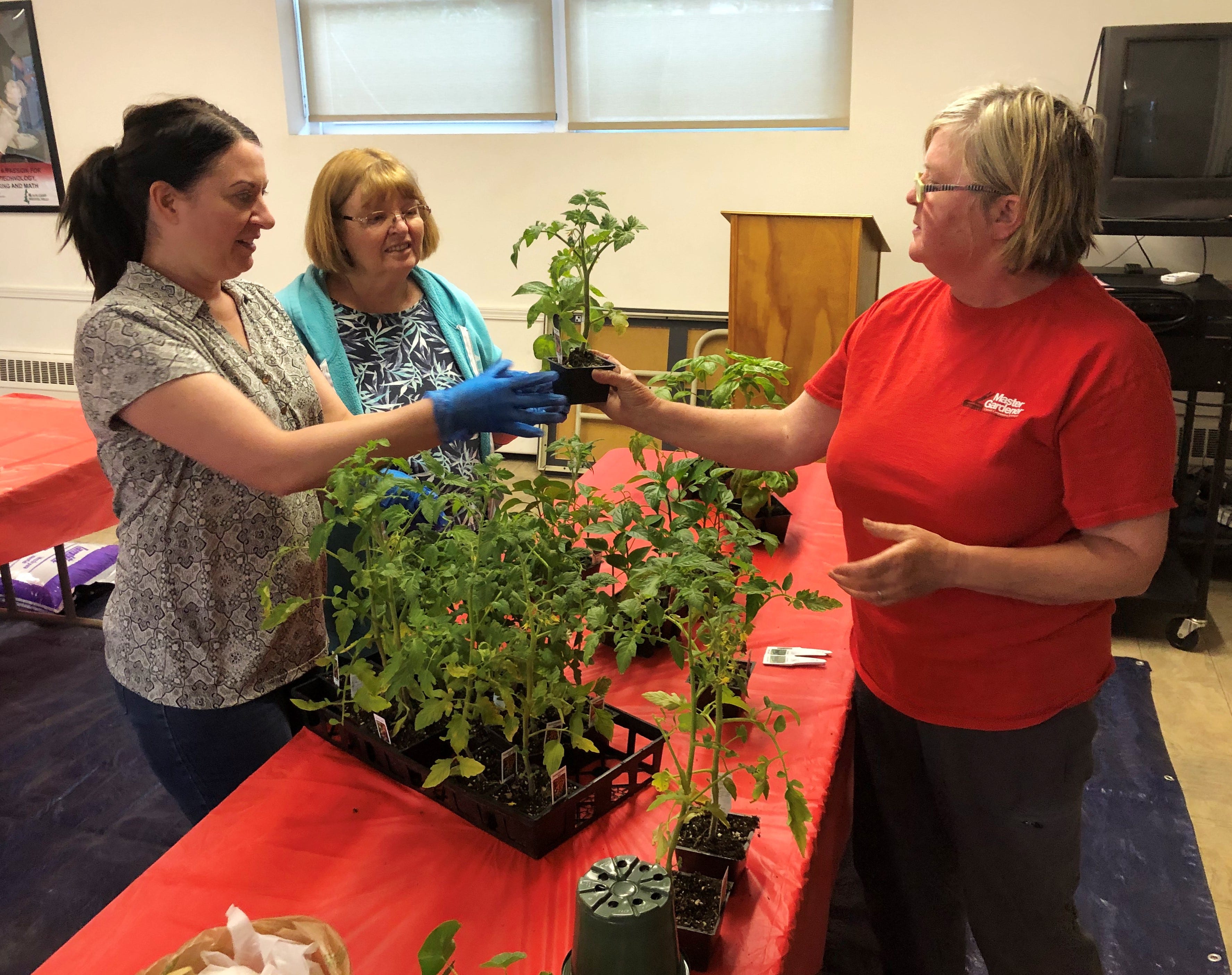Ontario County master gardener series is set to begin