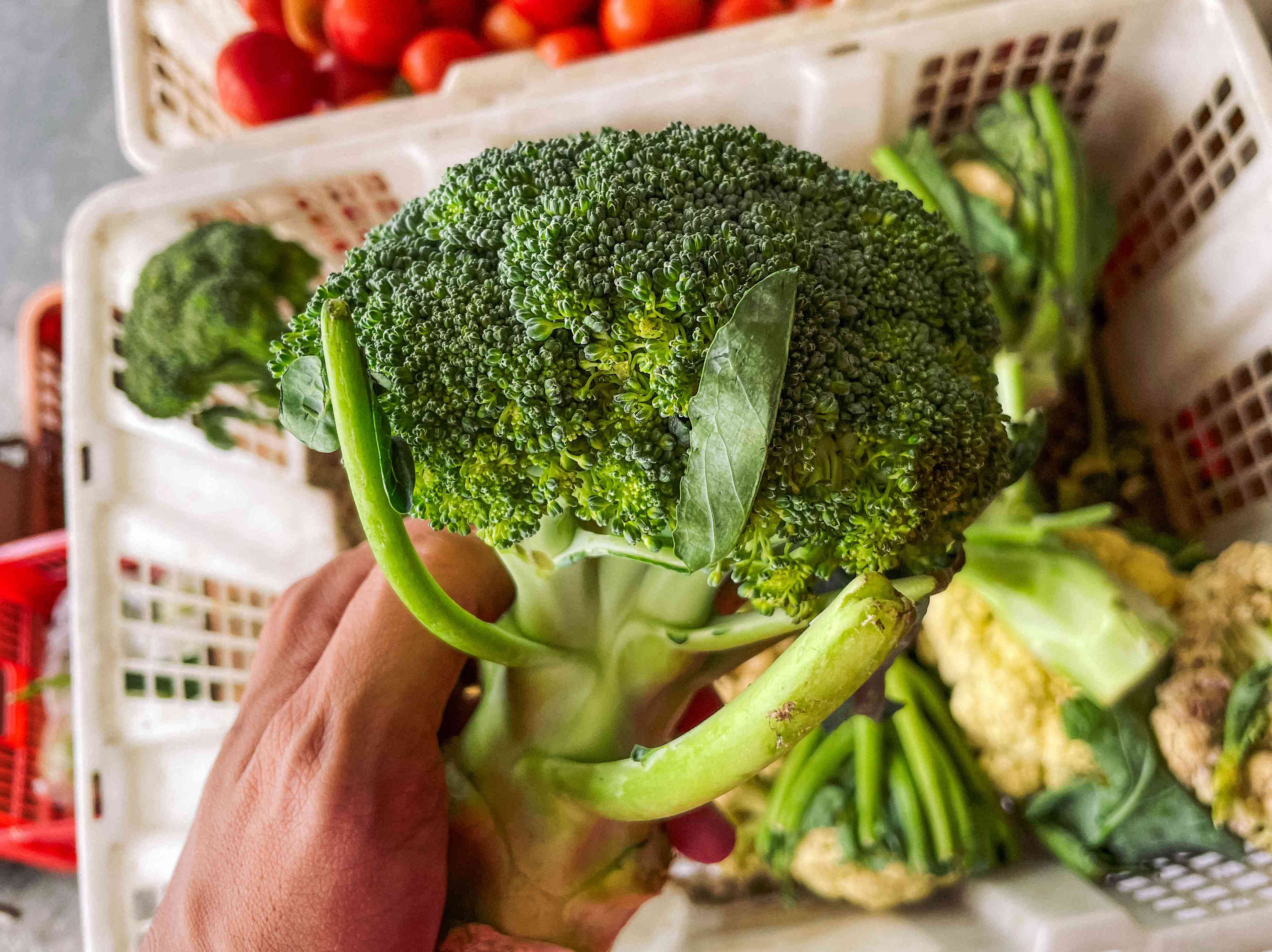 How to wash broccoli to remove dirt and pesticides, according to a ...