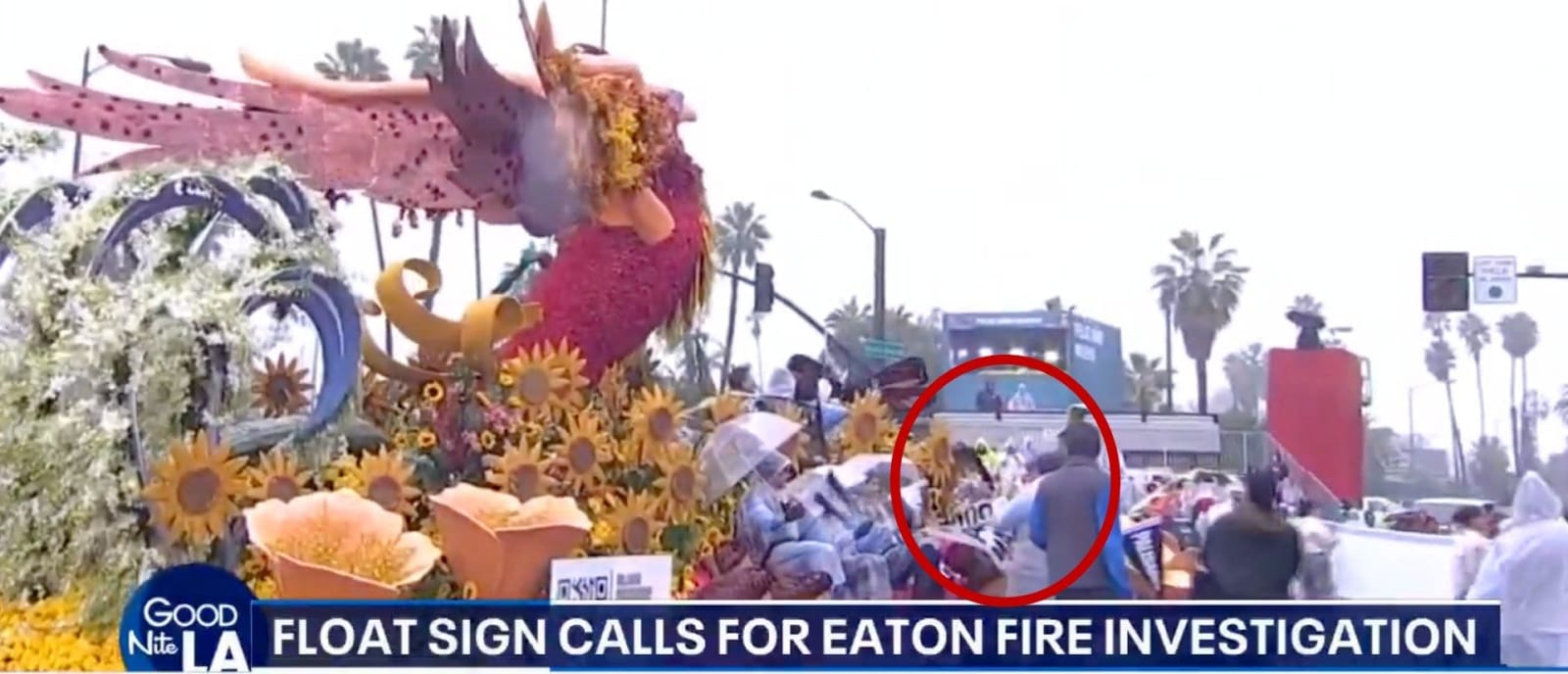 Raincoat-clad bootlicker pulls down Rose Parade sign demanding ...