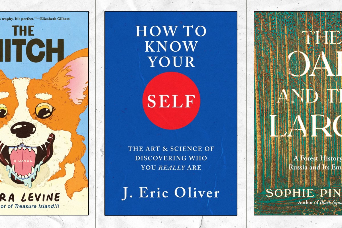 The 11 books you should be reading this January