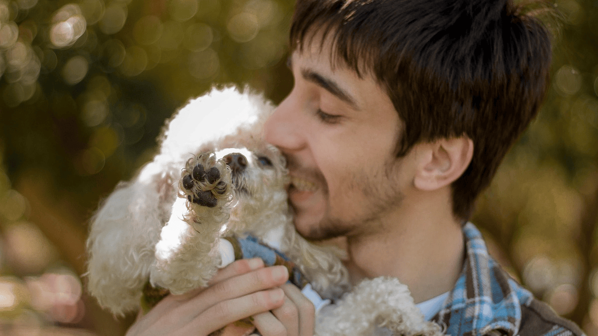 9 things you do every day that your dog holds dear (and will always ...