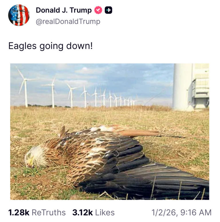 Trump amplifies more misleading images in wind turbine bird claims