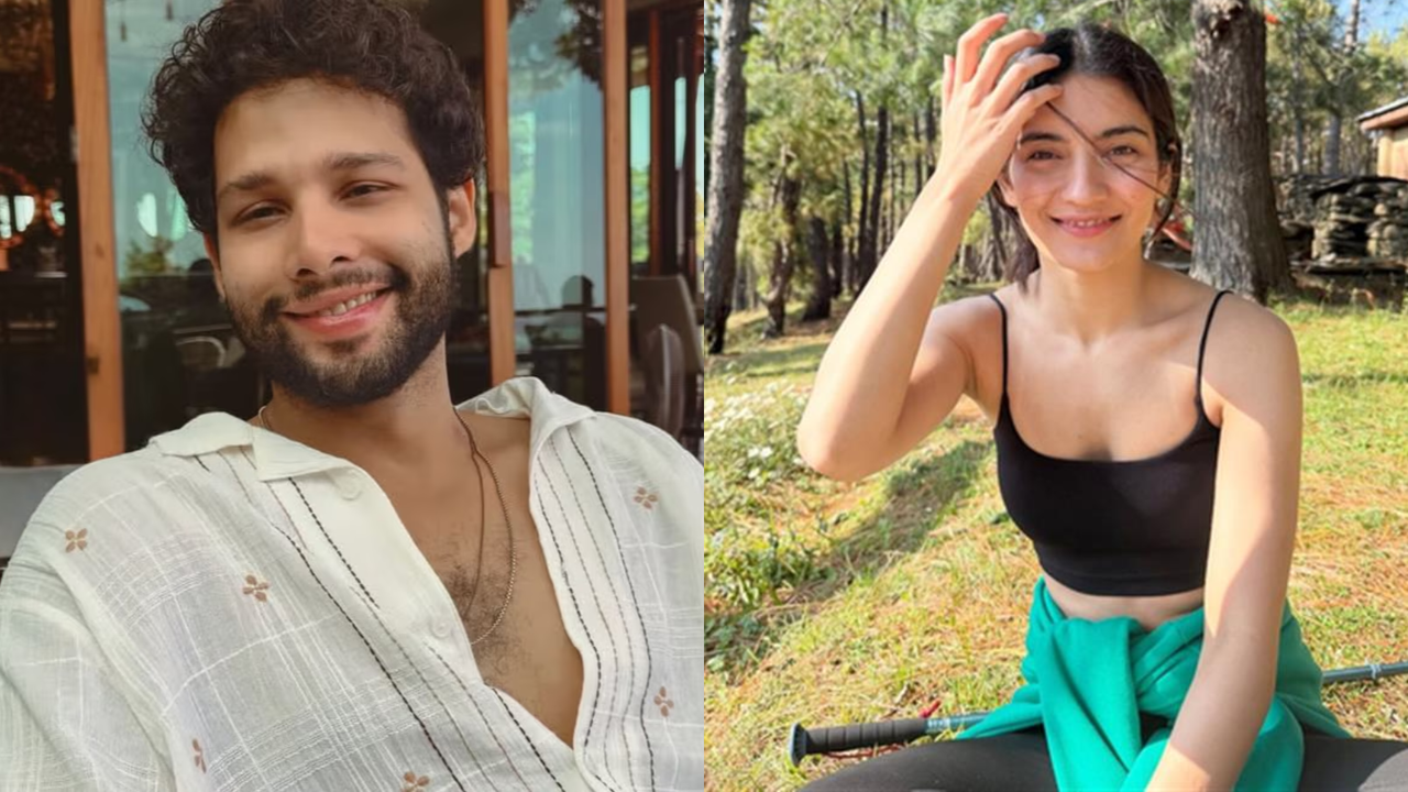 Siddhant Chaturvedi, Pratibha Ranta not part of Dear Comrade remake ...