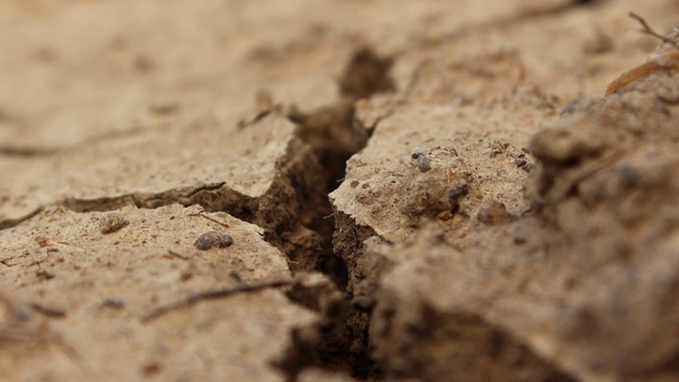 Has your business been affected by drought? SBA has low-interest loans ...
