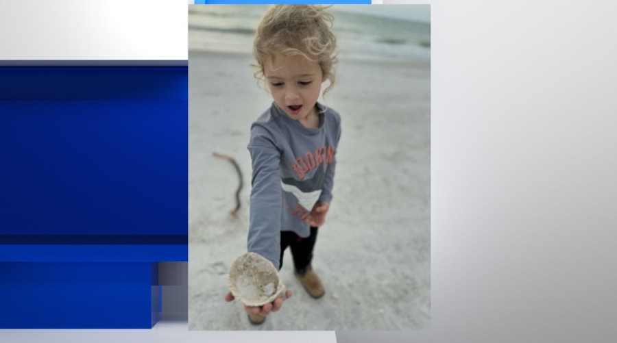 Search for Johnathan Boley resumes in Walker County