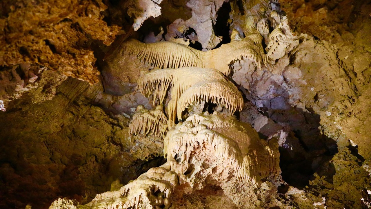 Fossil hints sea monster roamed beyond the ocean