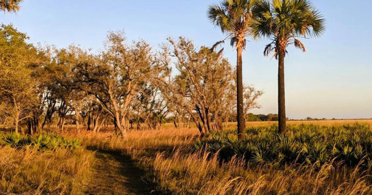 Discover the hidden natural wonder in this small Florida town