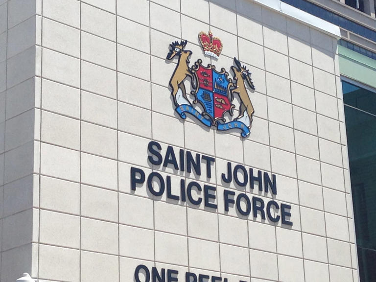 Saint John police board denies retaliation over officer complaint ...