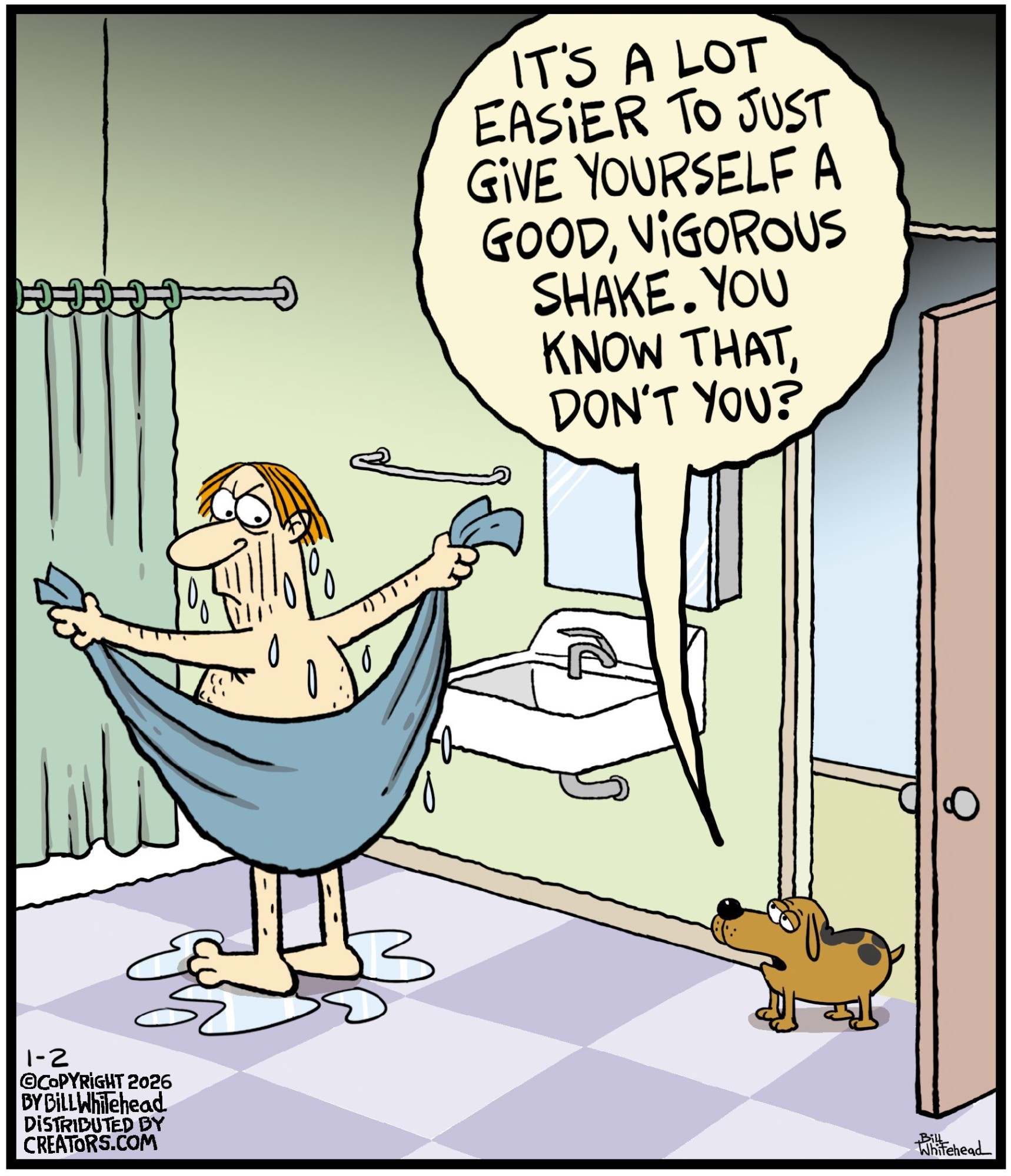 LightWave reports' daily comic strips (1/2)