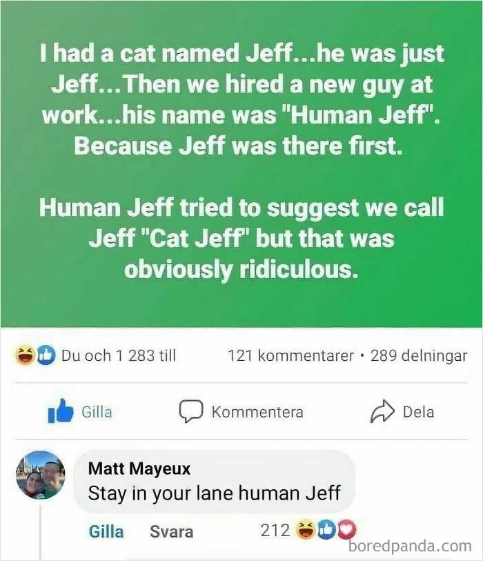 A look back at 2025 through 88 of the funniest and most heartwarming ...